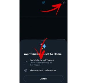 How to Show Tweets in Chronological Order on Twitter - Techozu